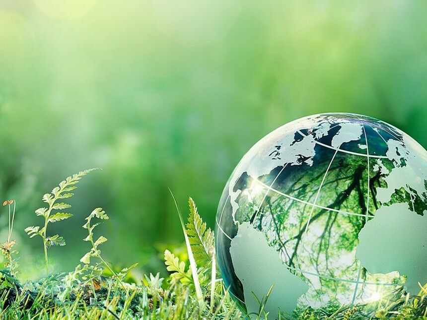 Lives in ecology | Meer