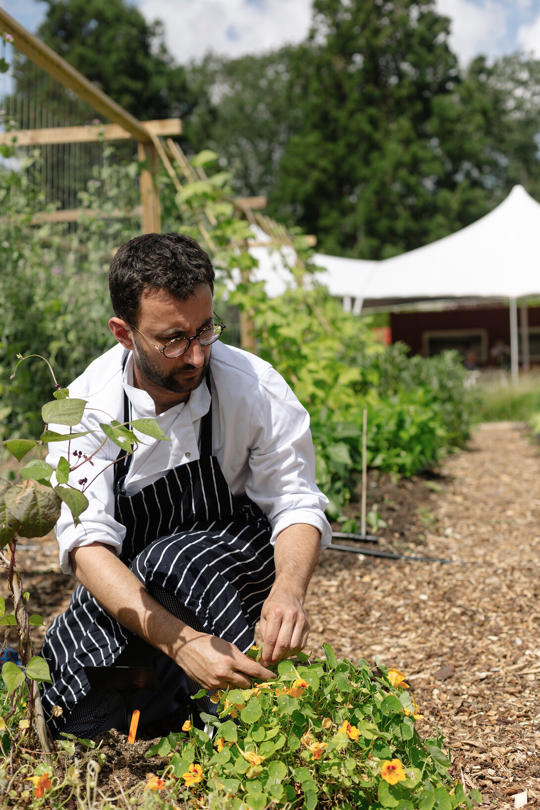 Water Lane, in the garden of England | Meer