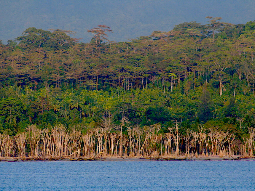 India as G20 president | Meer