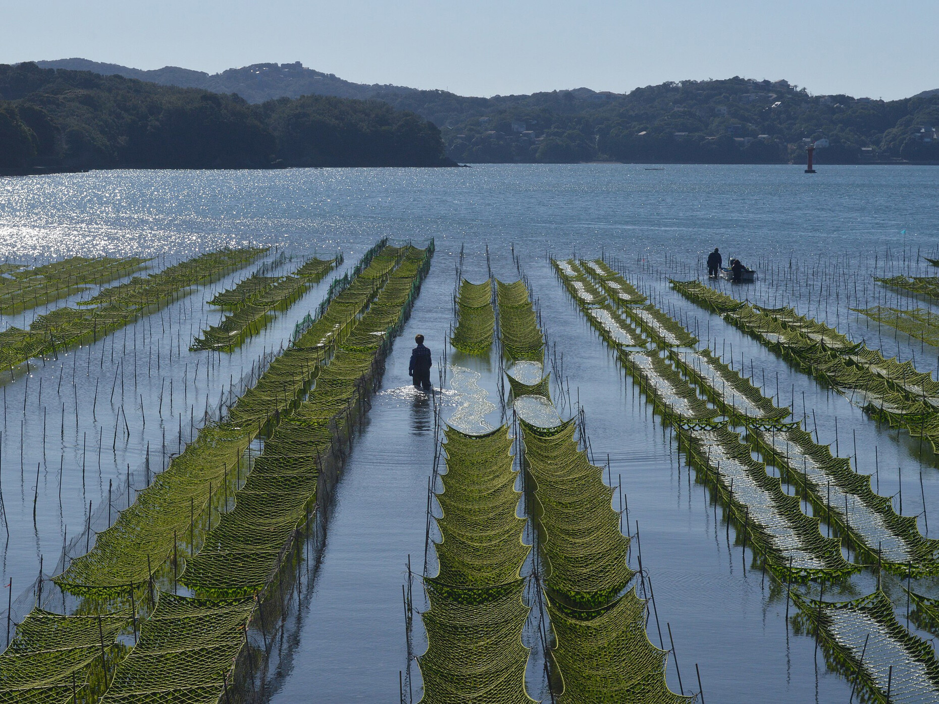 Kathleen Mary Drew-Baker | Meer