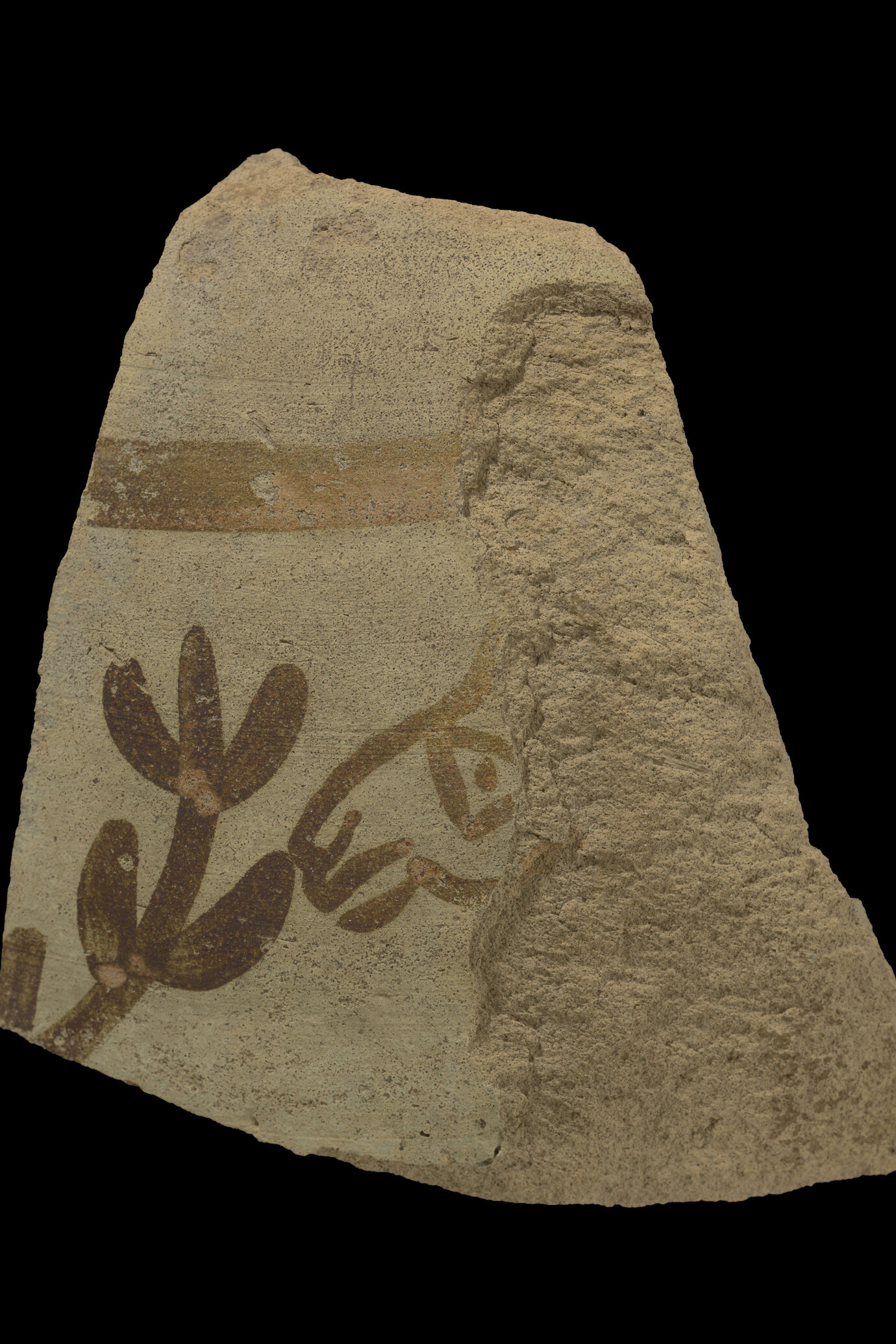 Utterly indispensable. The donkey in the ancient world | Meer