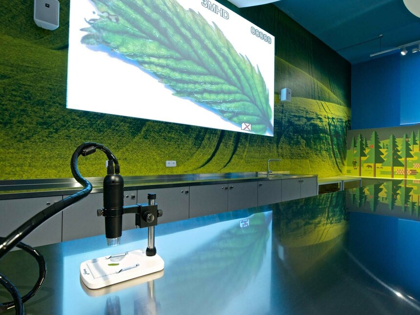 Discovery Lab | Meer