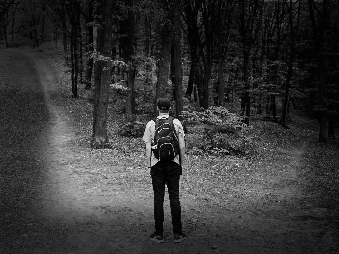 Liberating will | Meer