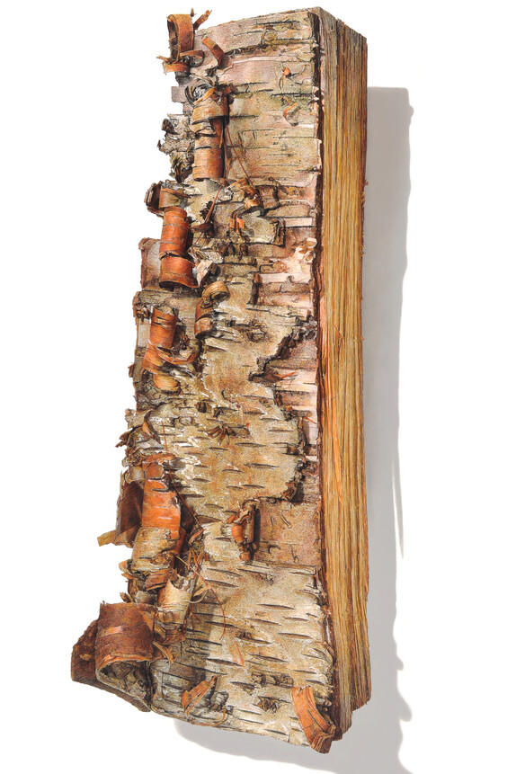 David Morrison: Nature’s Ephemera | Meer