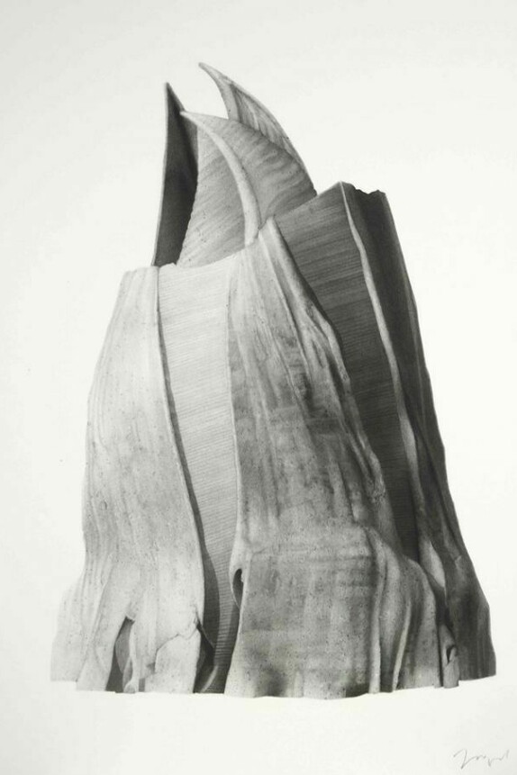 Art of the Curious | Meer