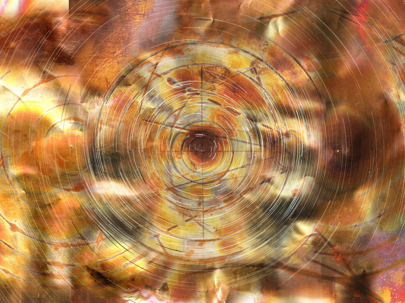 Rohini Devasher. One hundred thousand suns | Meer