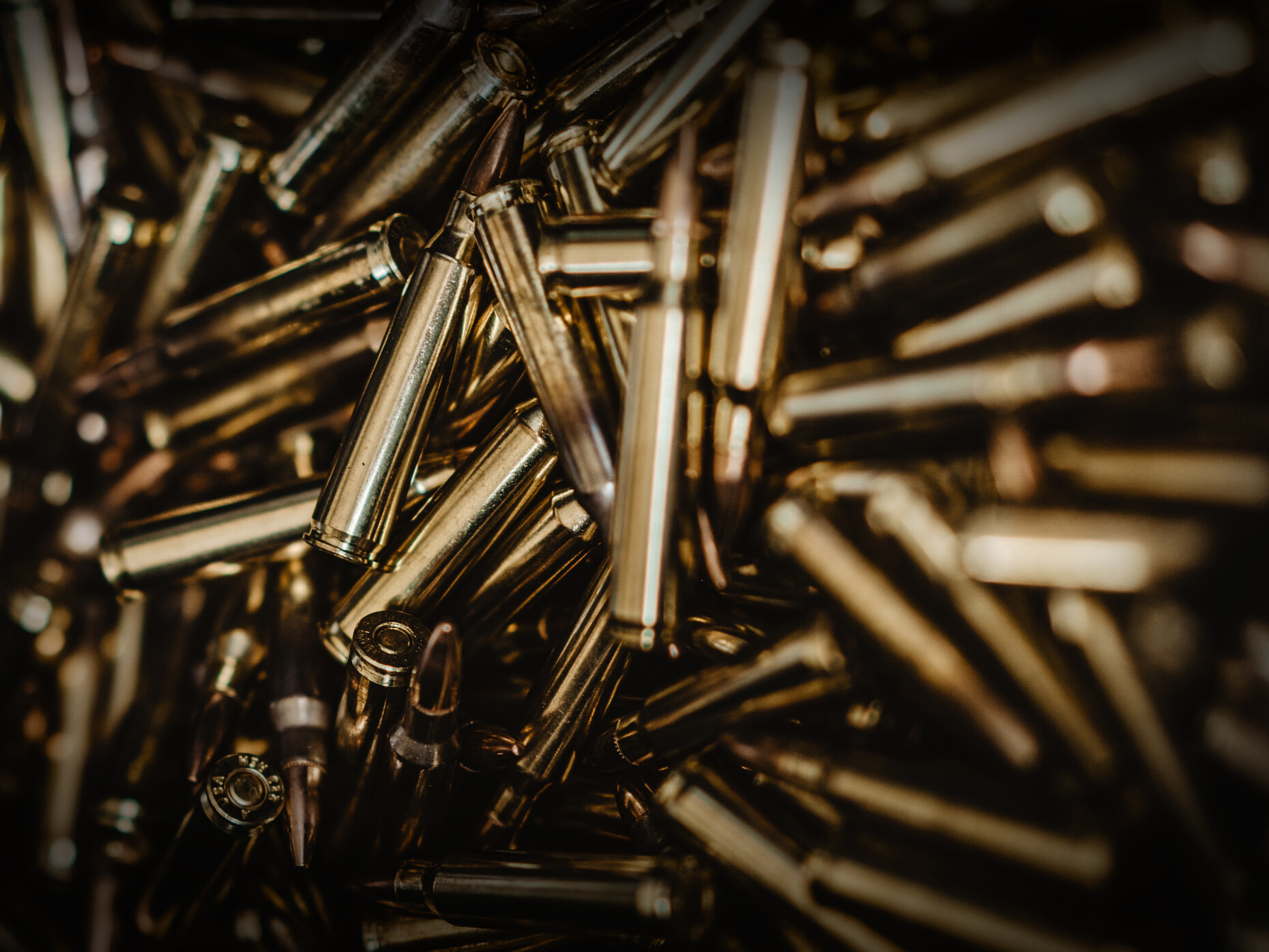 Our immortal existence through Quantum suicide | Meer