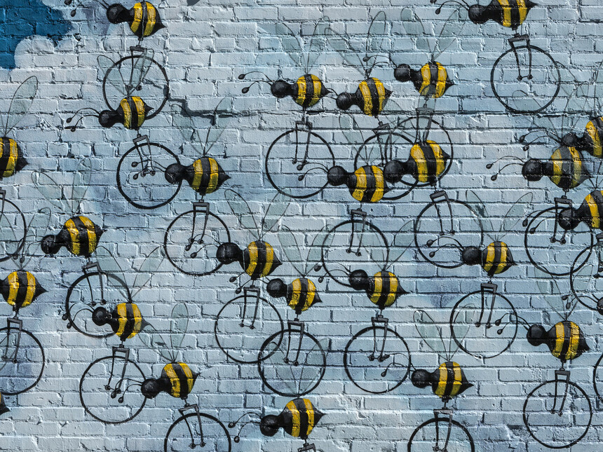 Matt Lively mural in norfolk's neon district | Meer