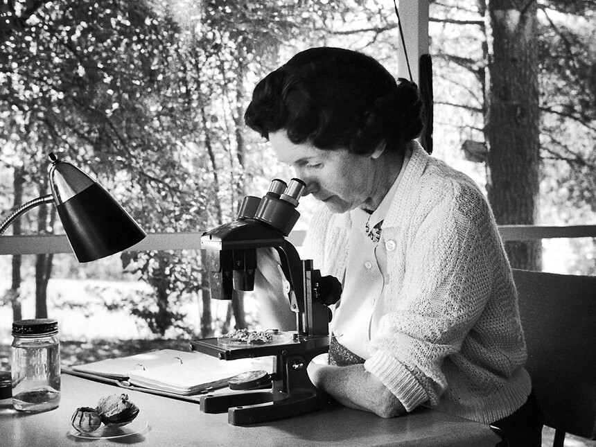 Rachel Carson: madre del movimento ambientalista americano | Meer