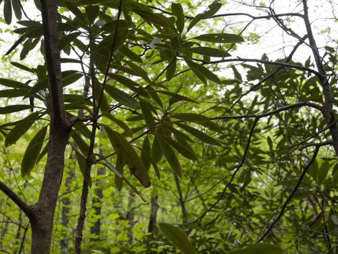 Hilary Tolan. In this place | Meer