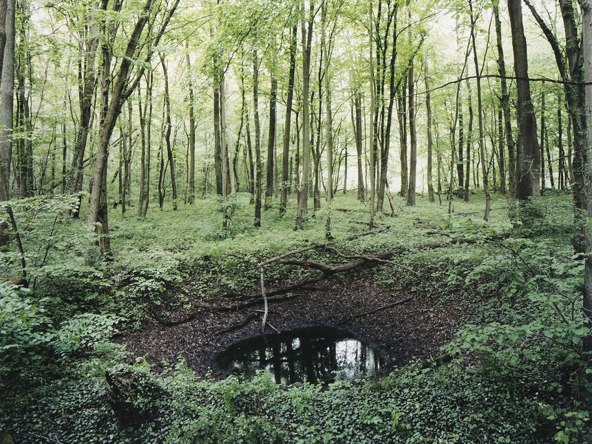 The Beautiful Changes | Meer