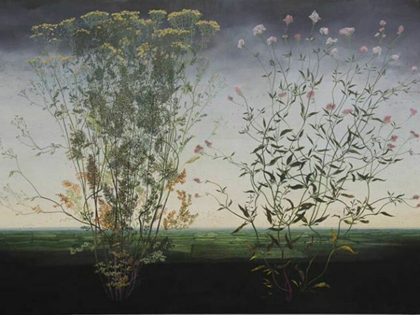 Michael Canning. Language and Information | Meer