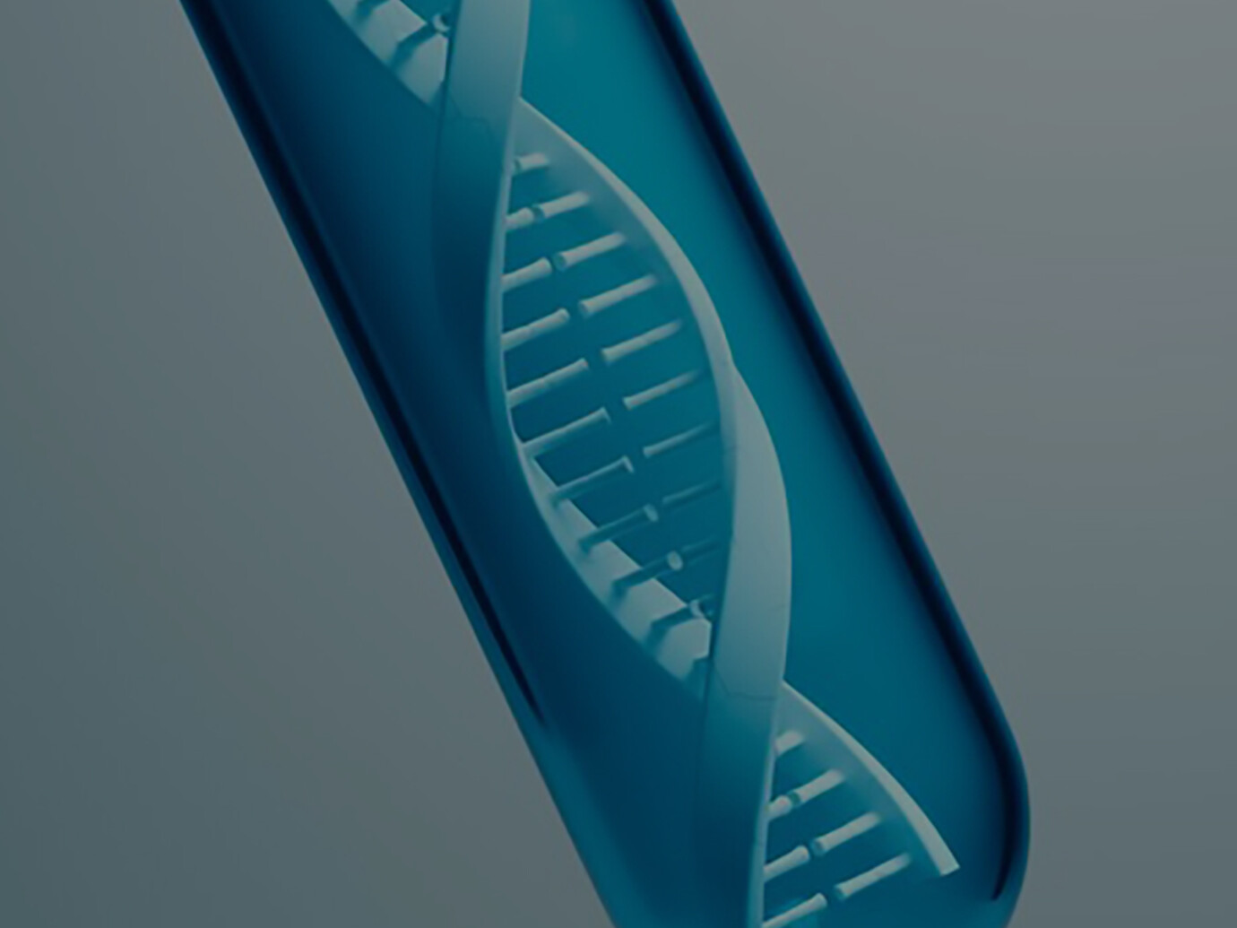 Cell lifespan: the cycle of renewal in the human body | Meer