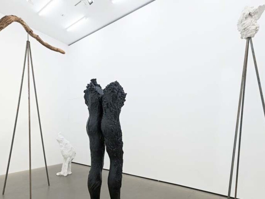 Stella Hamberg | Meer