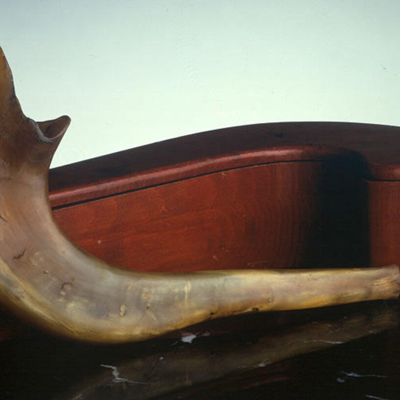 Surface Tension | Meer