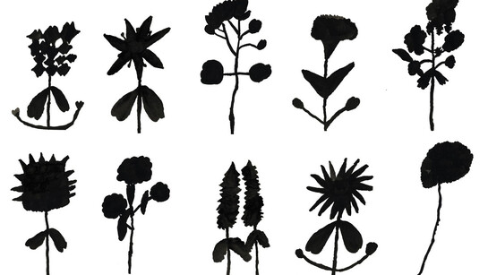 Elana Cooper. Flower power | Meer