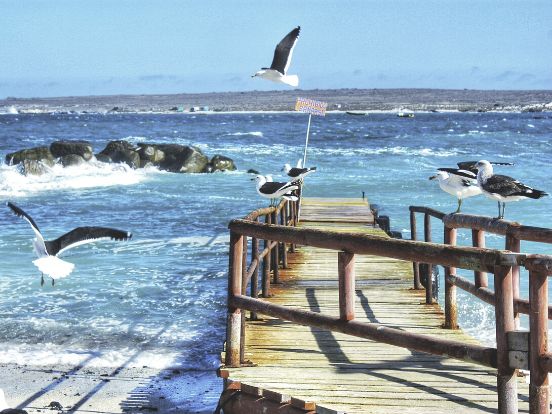 Punta de Choros: un lugar único frente al océano pacífico | Meer