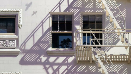 Diana Tremaine & Lynette Cook. Stroke of brilliance | Meer