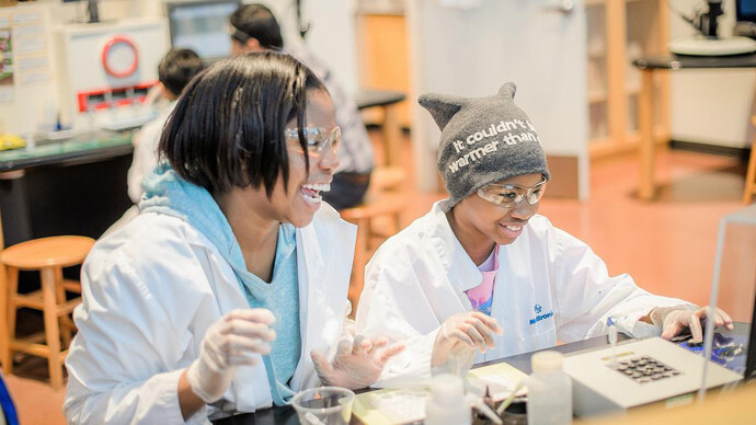 The Human Body | Meer