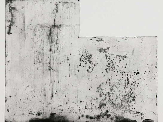 SMFA at Tufts | Meer