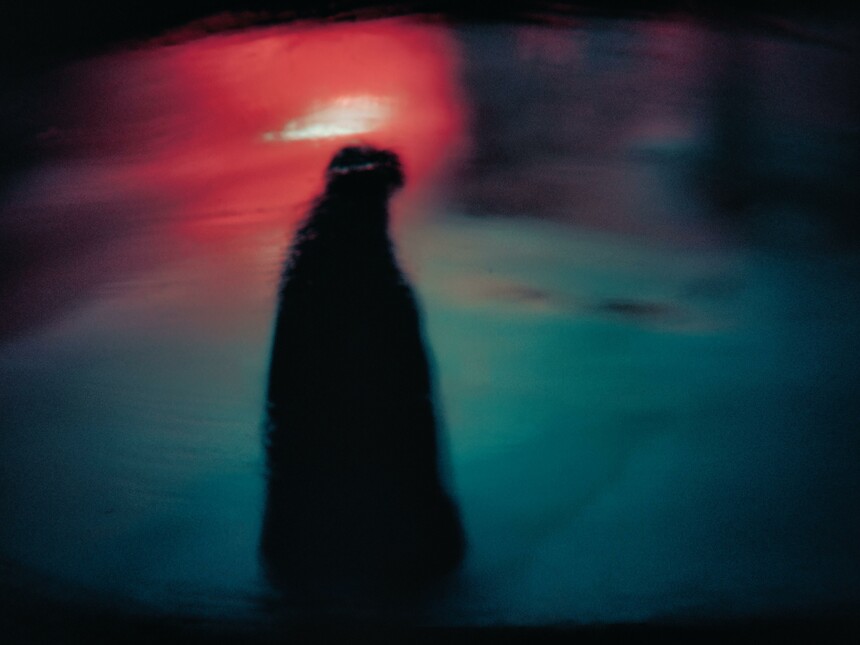 The mechanistic explanation of natural necessity | Meer