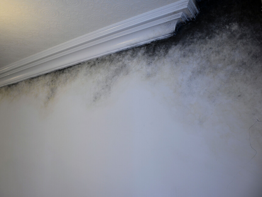 contamination (site specific intervention) | Signs and Symbols