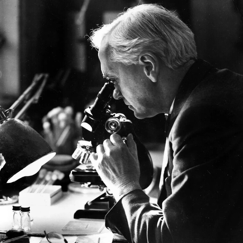 Alexander Fleming | Meer