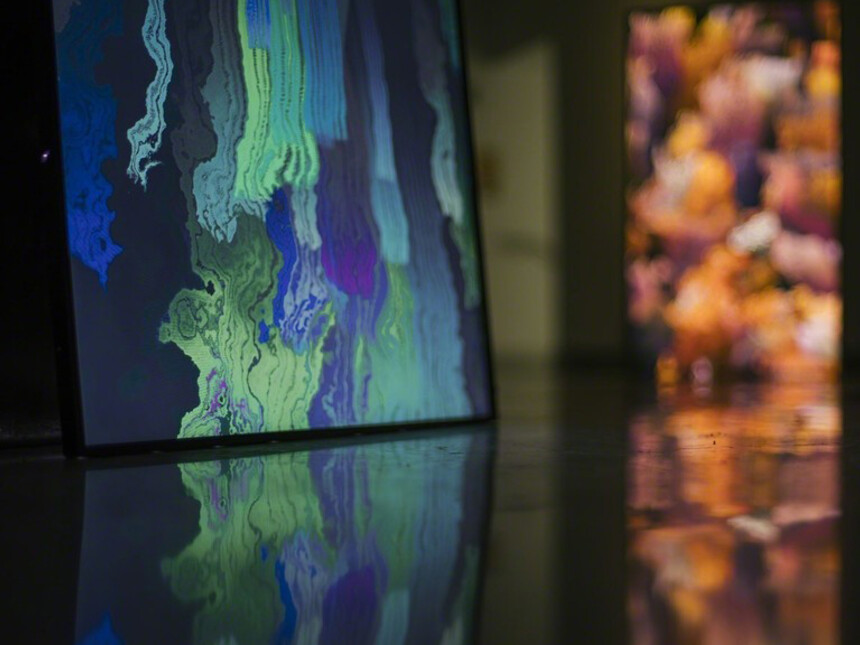 Daniel Canogar | Meer