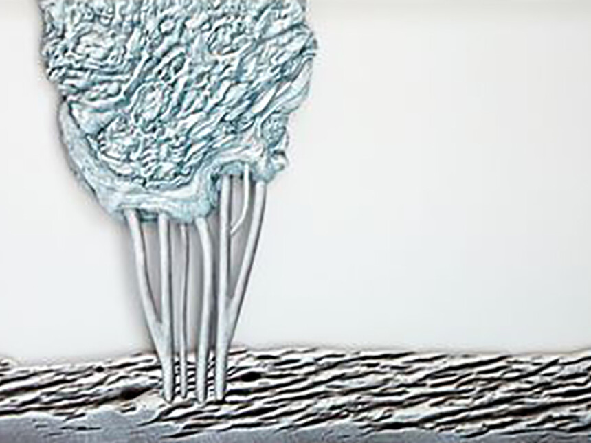 Carlos Poveda: parcours de recherches artistiques | Meer