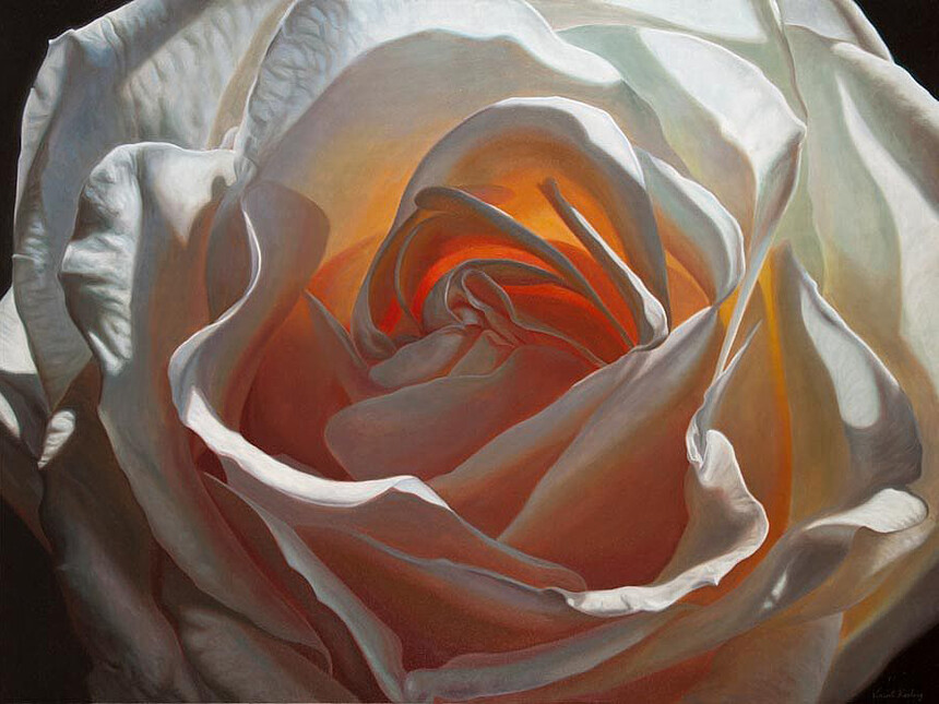 A Summer Selection | Meer