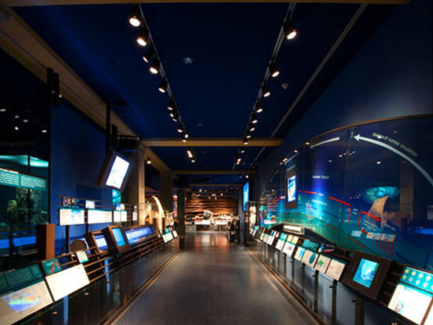 Hall Of The Planet Earth