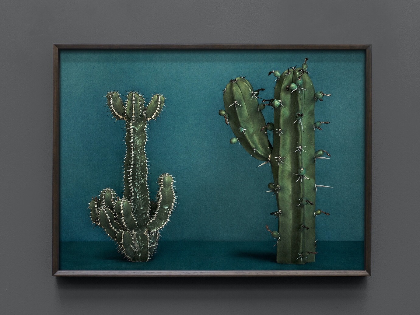 Mario Testino. South Americana | Meer