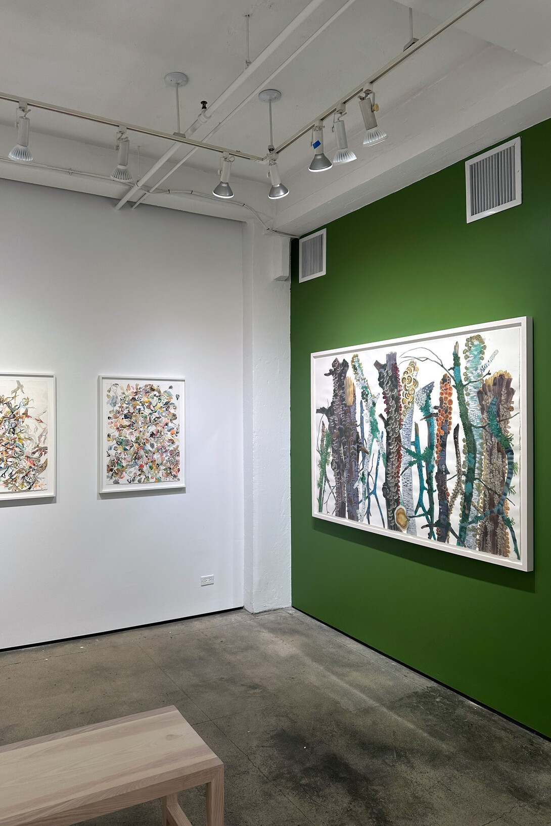 An observant nature | Meer