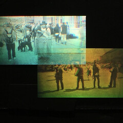 Lawrence Mynott | Meer