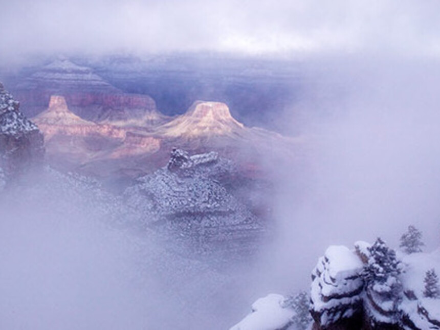 Michael Nichols | Meer