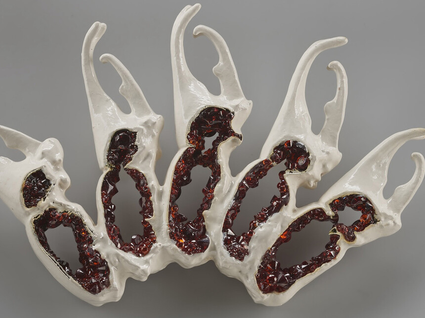 Wunderkammer: the collection of Susan Beech | Meer