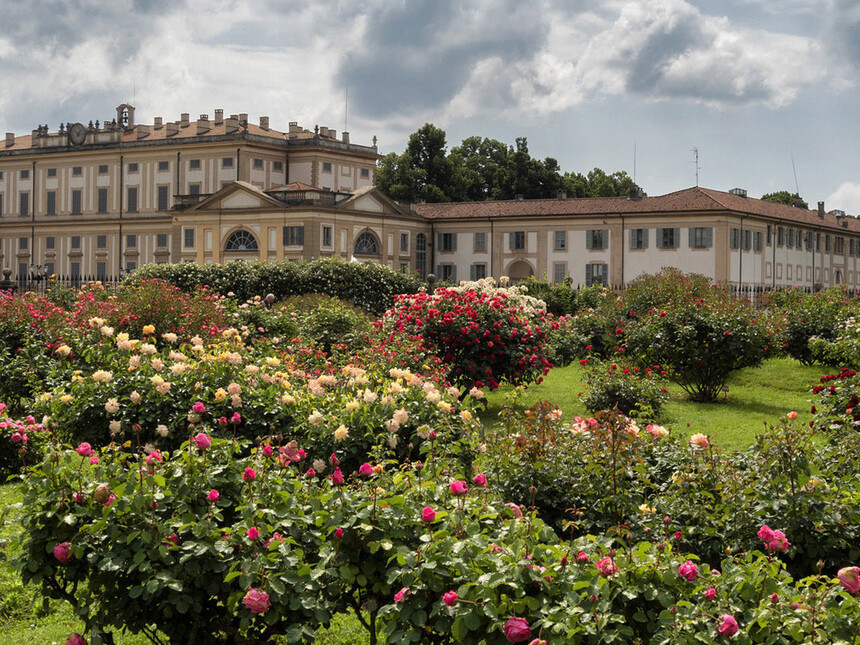 Andar per roseti | Meer