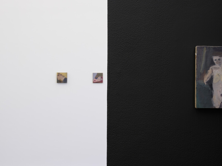 Janice Nowinski. New work | Meer