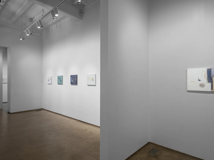 বনমানুষ, bon-manush | Meer