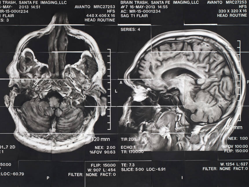 James Drake. Anatomy of Drawing and Space (Brain Trash) | Meer