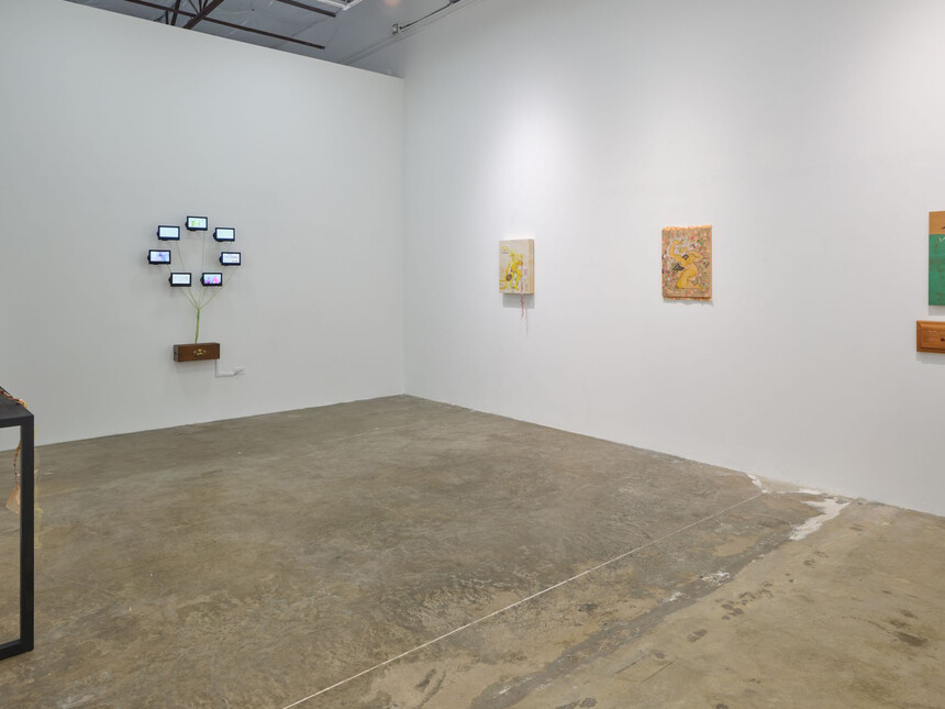 Shotor 〇 morghe | Meer