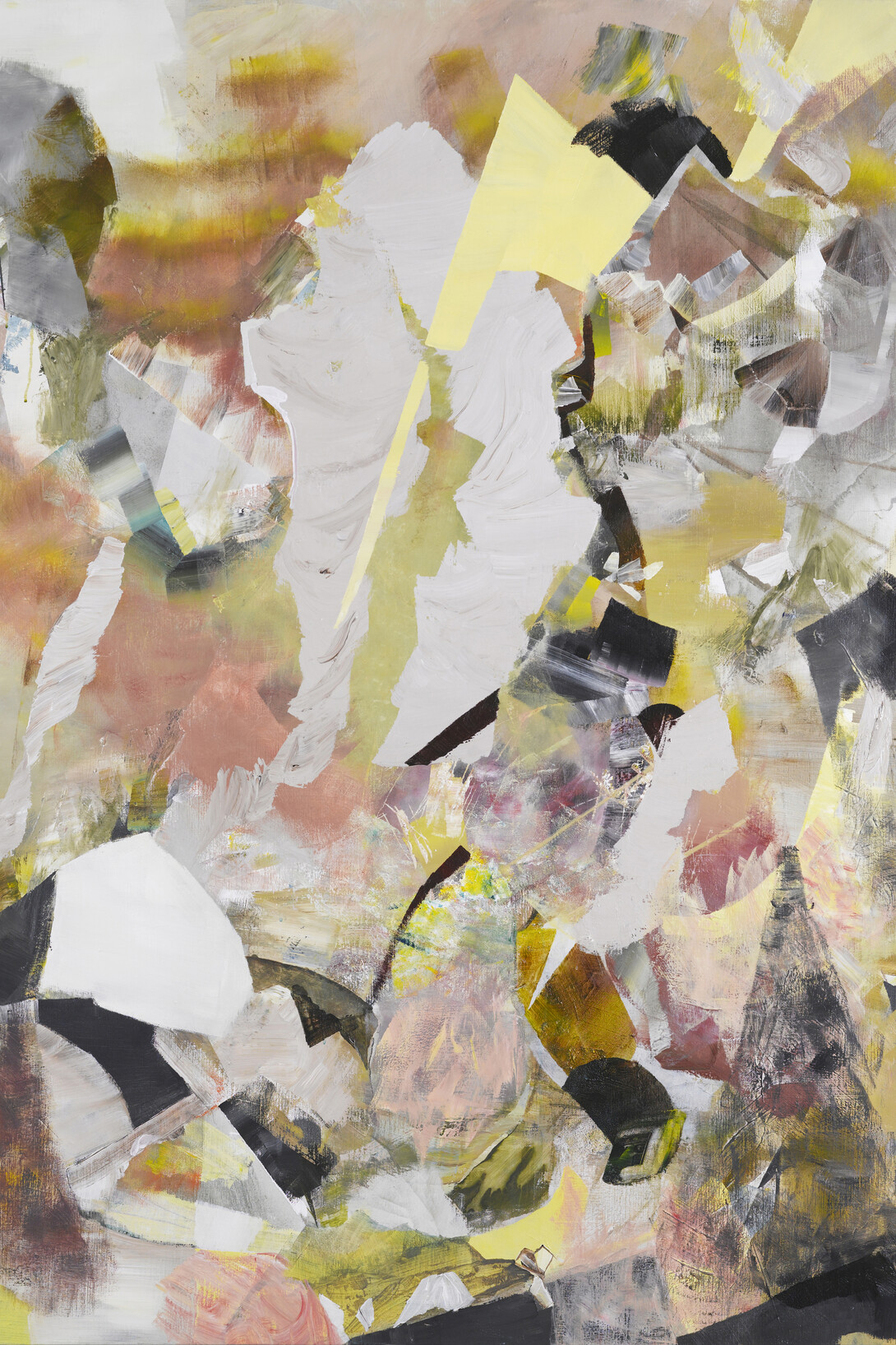 Ian Woo. The Difference Between Your Mountain and My Couch | Meer