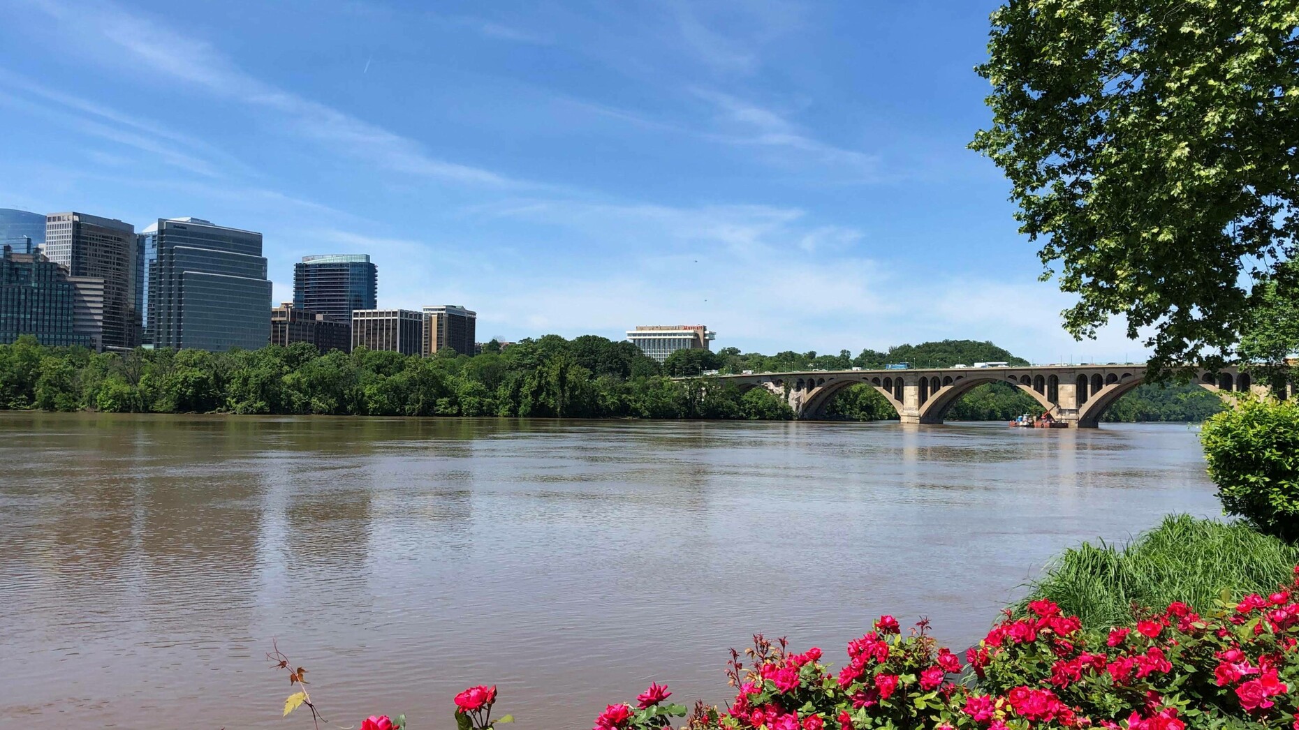 Ways to get local in Georgetown | Meer