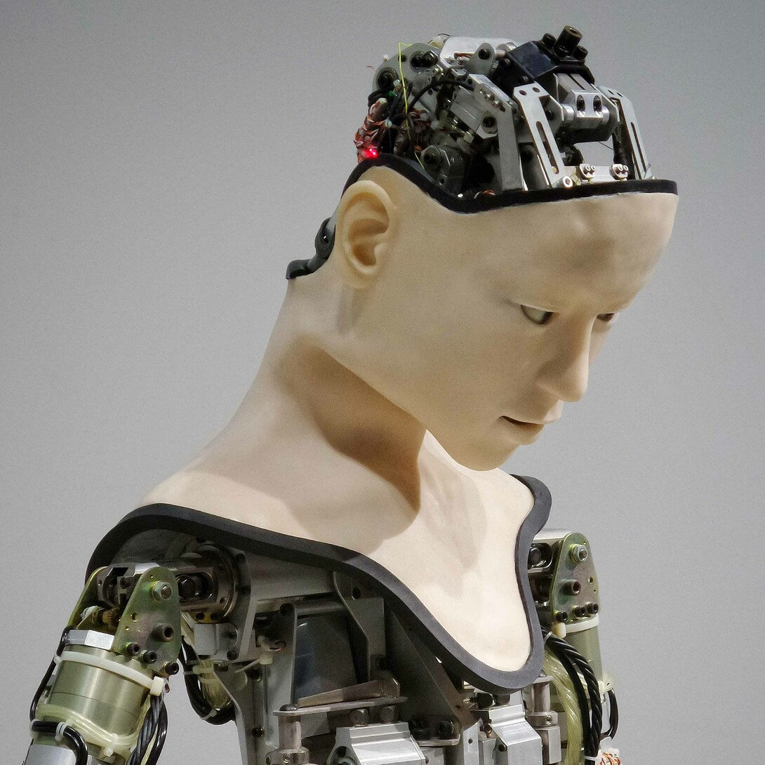 Cognition in Robots | Meer