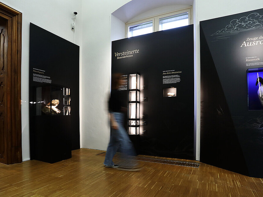 Fascinating treasures | Meer