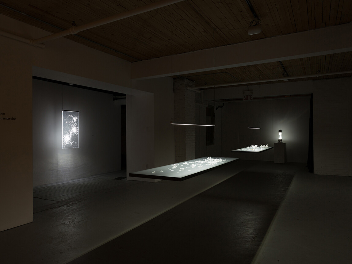 Stratification | Meer