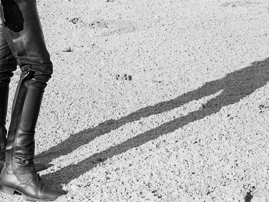 A very huntsman holiday installation | Meer