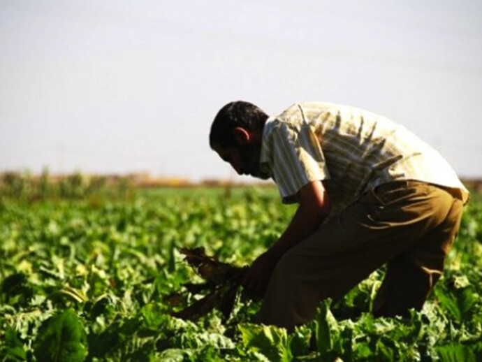 Morocco modernizes agriculture sector | Meer
