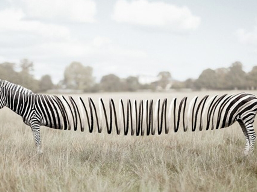 Zulkarnain Ismail | Meer