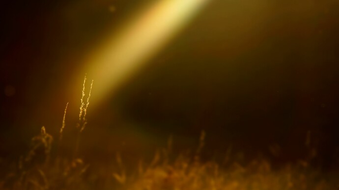 Un rayo de luz en Costa Rica | Meer